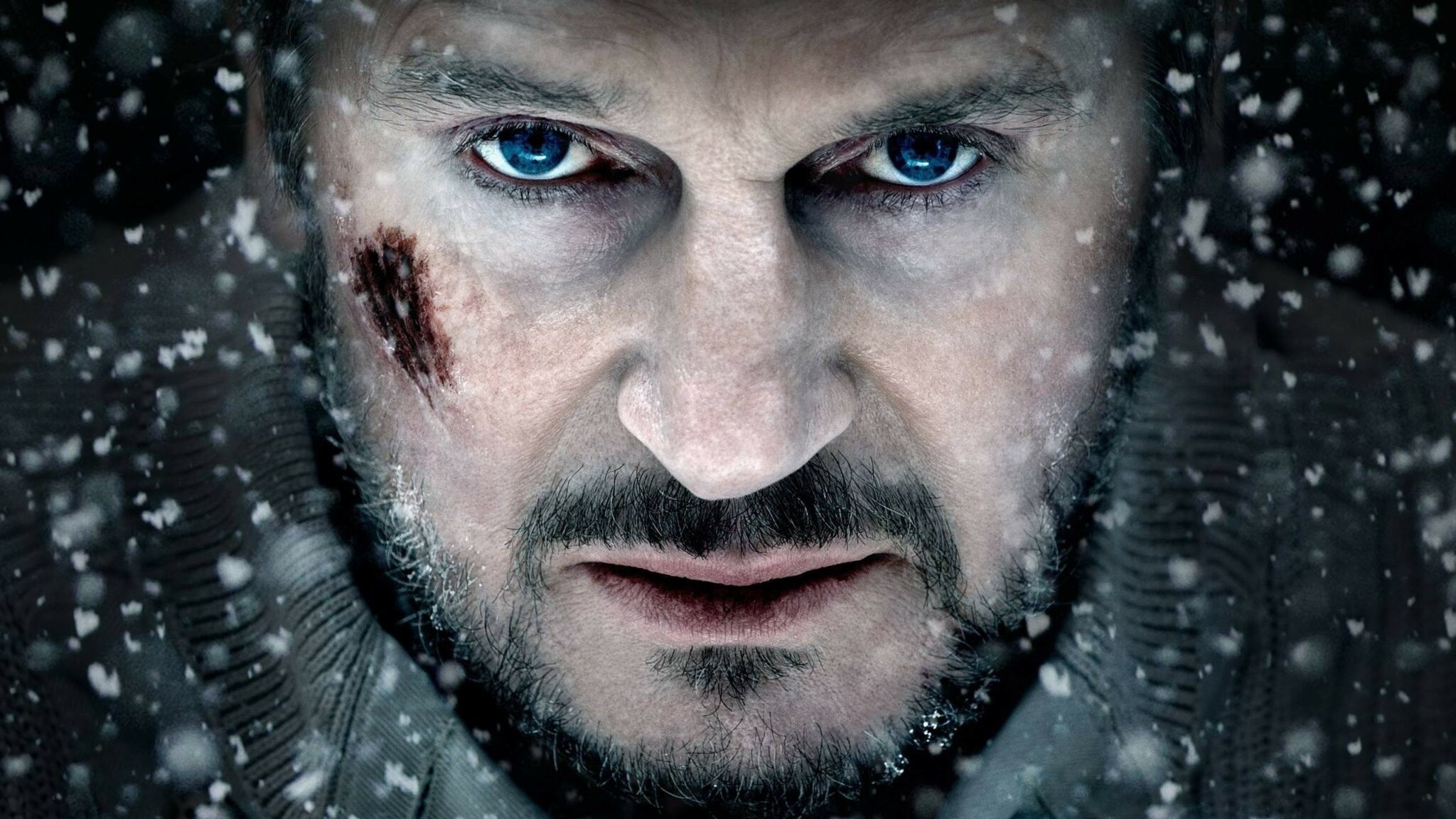 The Grey (2011) | Bald Move