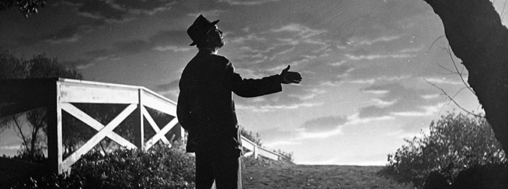 Harvey (1950) | Bald Move